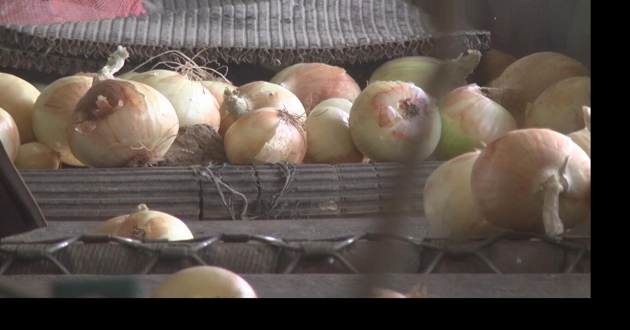 Walla Walla Sweet Onion makes impact in Pacific Northwest | Features ...