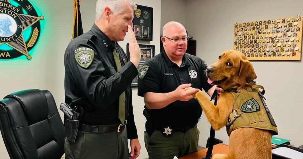 BCSO welcomes first Electronic Storage Device detection K9 in Tri ...