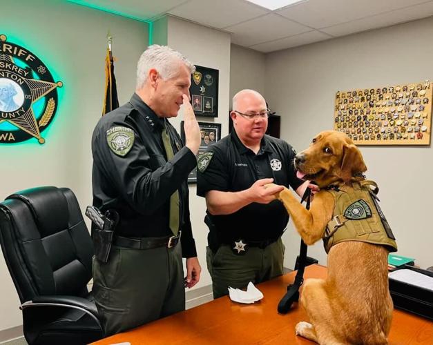 BCSO welcomes first Electronic Storage Device detection K9 in Tri ...