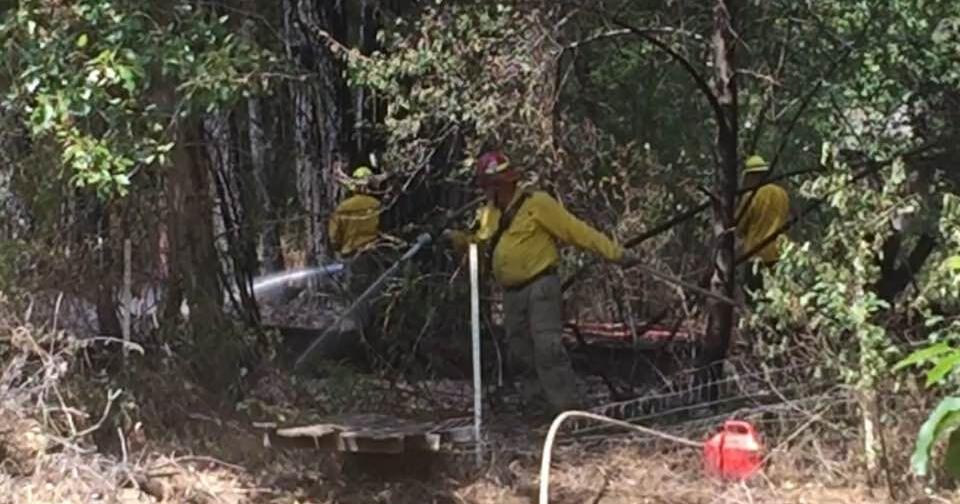 The Naches Fire Department is investigating the cause of a brush fire ...