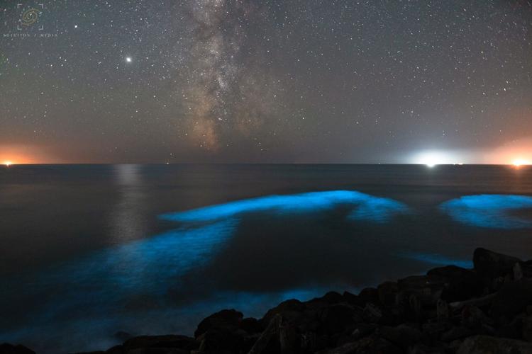 ‘Extraordinary’ bioluminescent waves thrill Northwest photographers ...