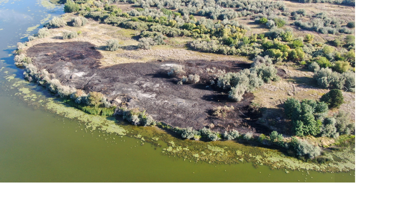 Bateman Island to remain closed until further notice | Local News ...
