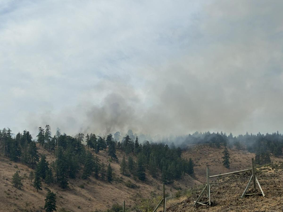 Pair of 80-acre wildfires burning near Ellensburg | News ...
