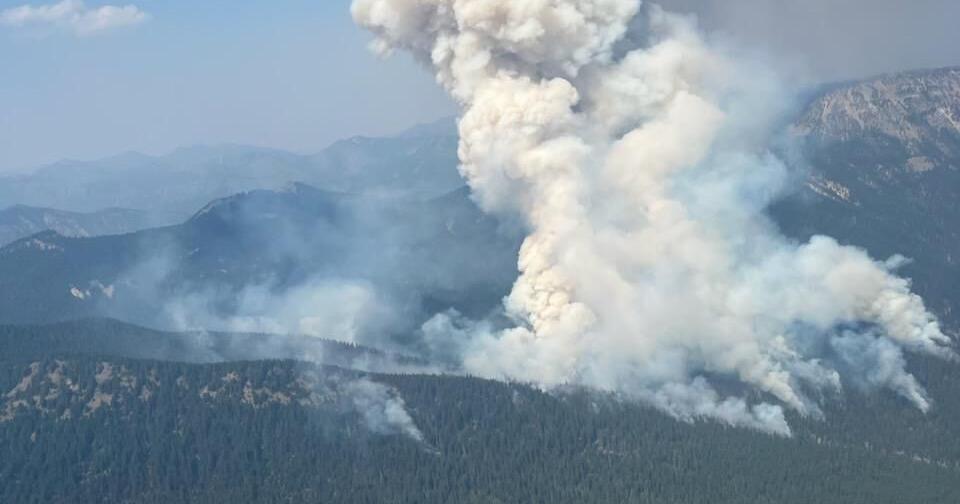 Closure area expands around growing Wildcat Fire | News ...