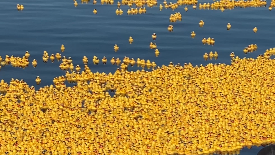 Mid-Columbia Duck Race returns to Kennewick for 37th year | News ...