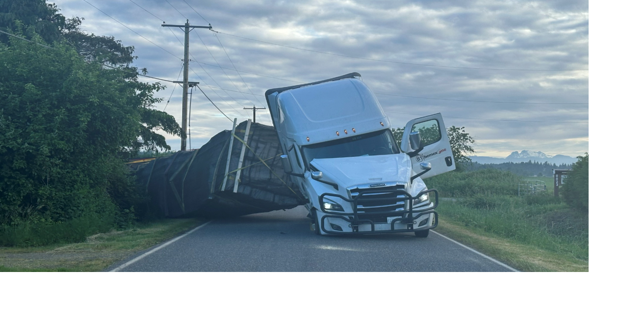 UPDATE: Master beekeepers working to save 250 million bees after ...