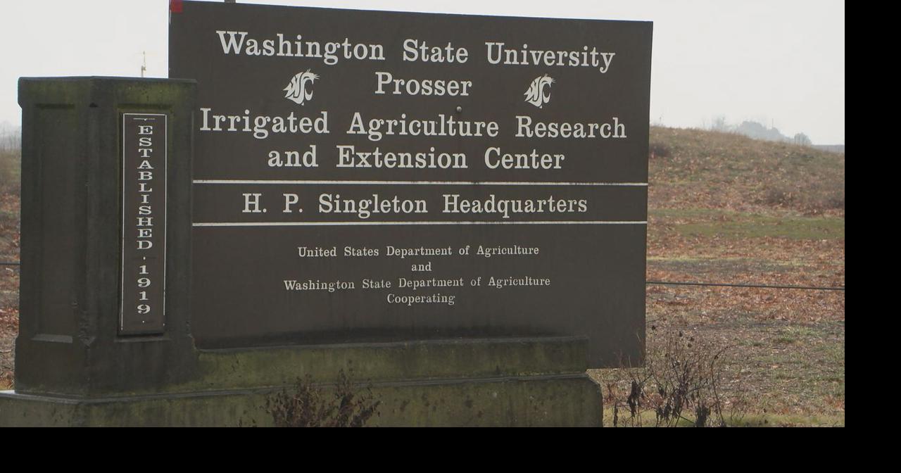USDA and WSDA visit WSU Prosser research center to discuss specialty ...