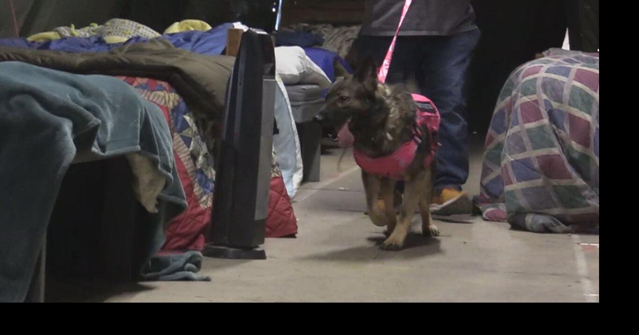Camp Hope gets new narcotics detection dog to keep drugs out, residents ...