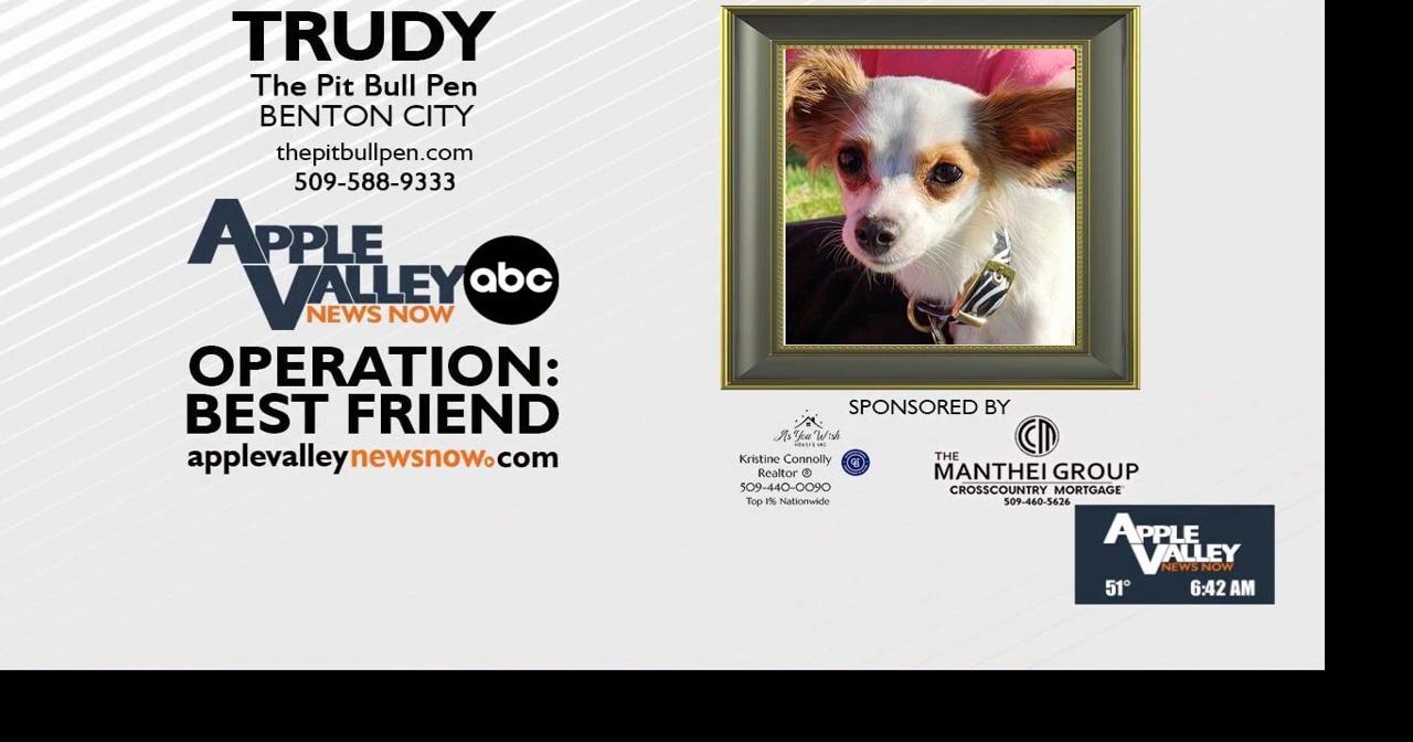 Operation Best Friend: Meet Trudy! | Features | applevalleynewsnow.com
