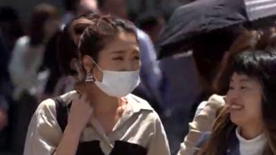 Why pollen is costing Japan nearly $2 billion a year | Health ...