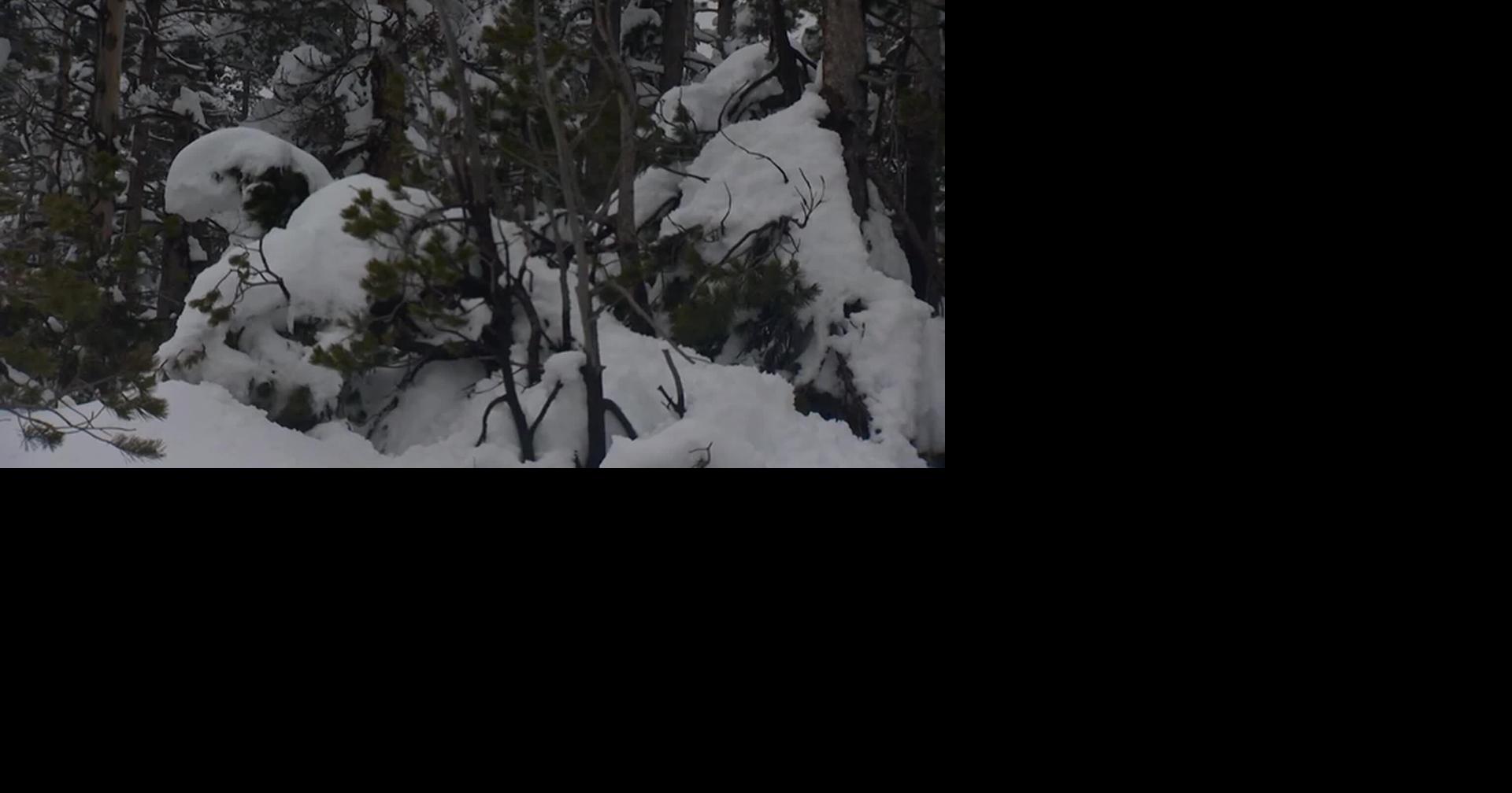 CA: WARNING AFTER SNOWMOBILER DIES IN AVALANCHE | National News ...