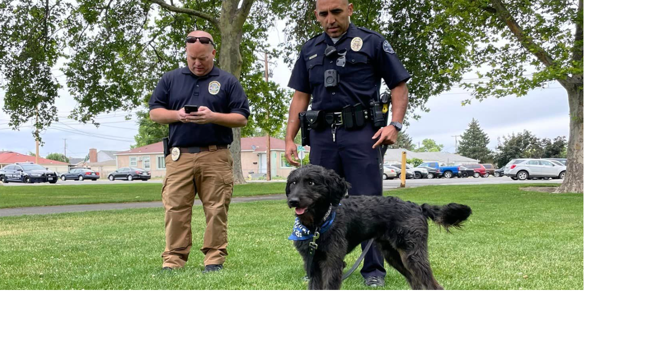 Pasco Police Department celebrates Goose's first birthday! | News ...