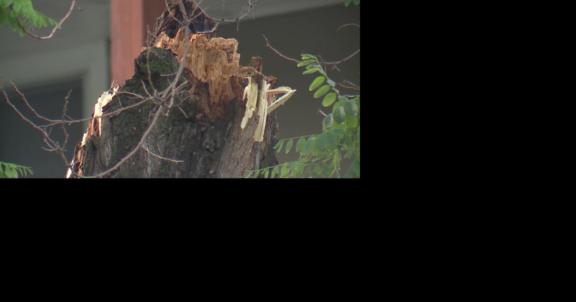 RAW: MO: STORM DAMAGE FROM OVERNIGHT RAIN, STRONG WINDS | National News ...