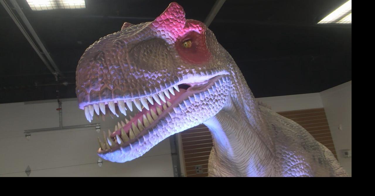 Experience prehistoric fun with animatronic dinosaurs and obstacle ...