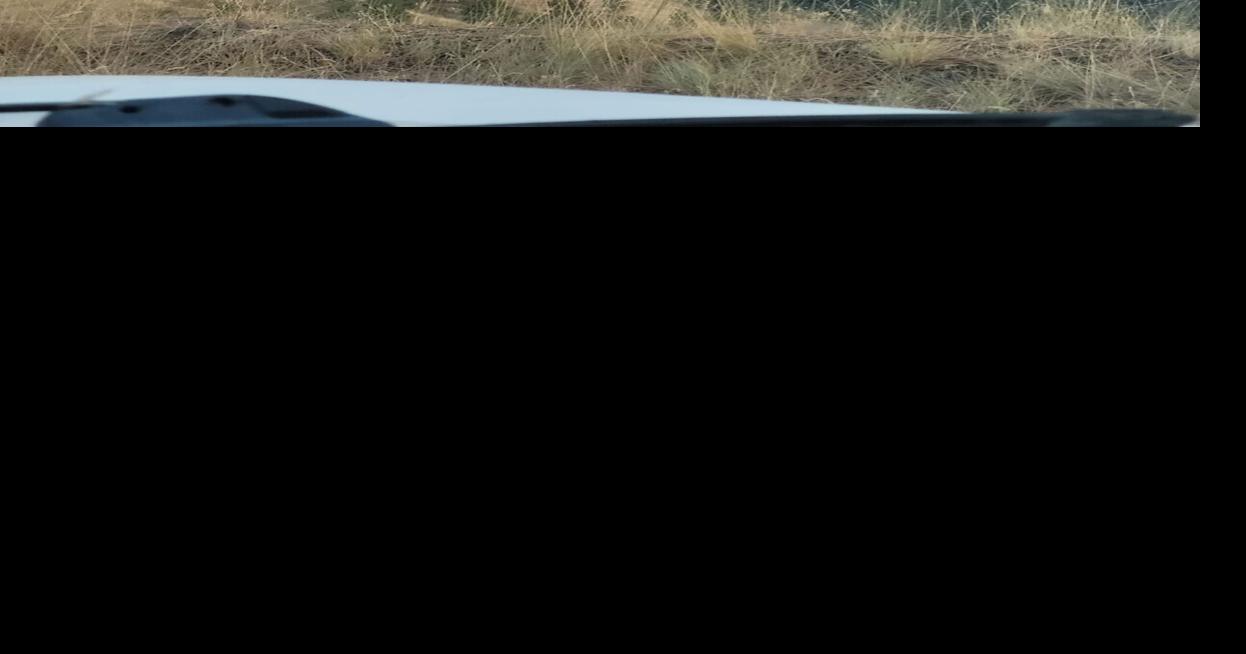 Tiger Creek Fire up to 73% containment despite disruptions from ...