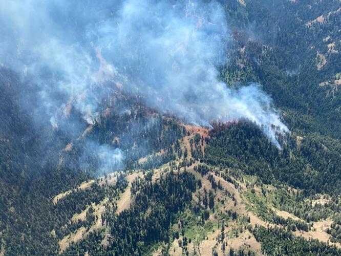 Green Ridge Fire 10% contained across 330+ acres of Umatilla National ...