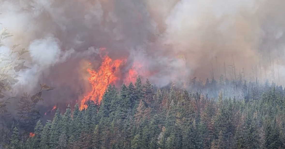 New firefighting team takes over command of Wildcat Fire | News ...