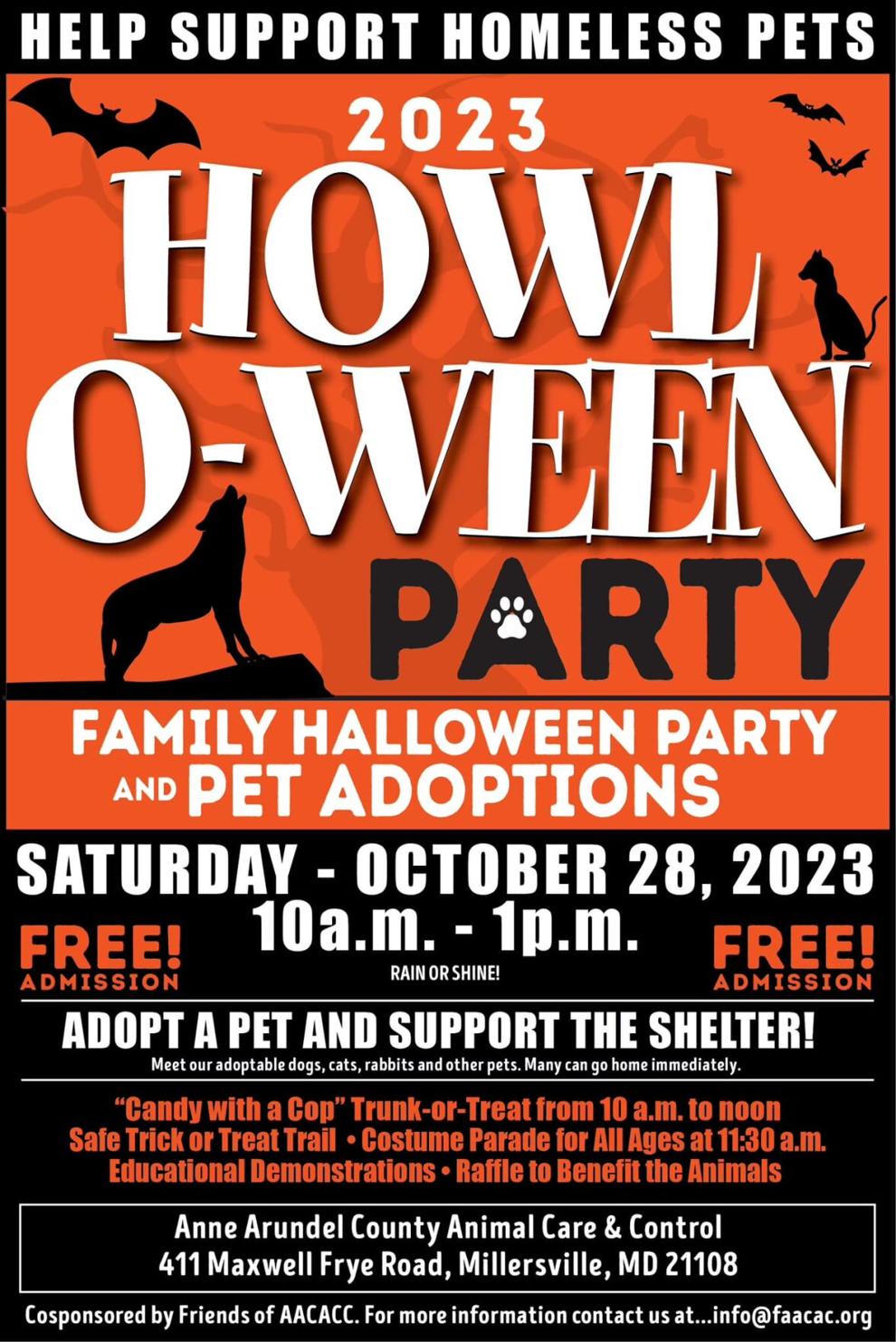 Meet Adoptable Pets Available at Anne Arundel County Animal Care ...