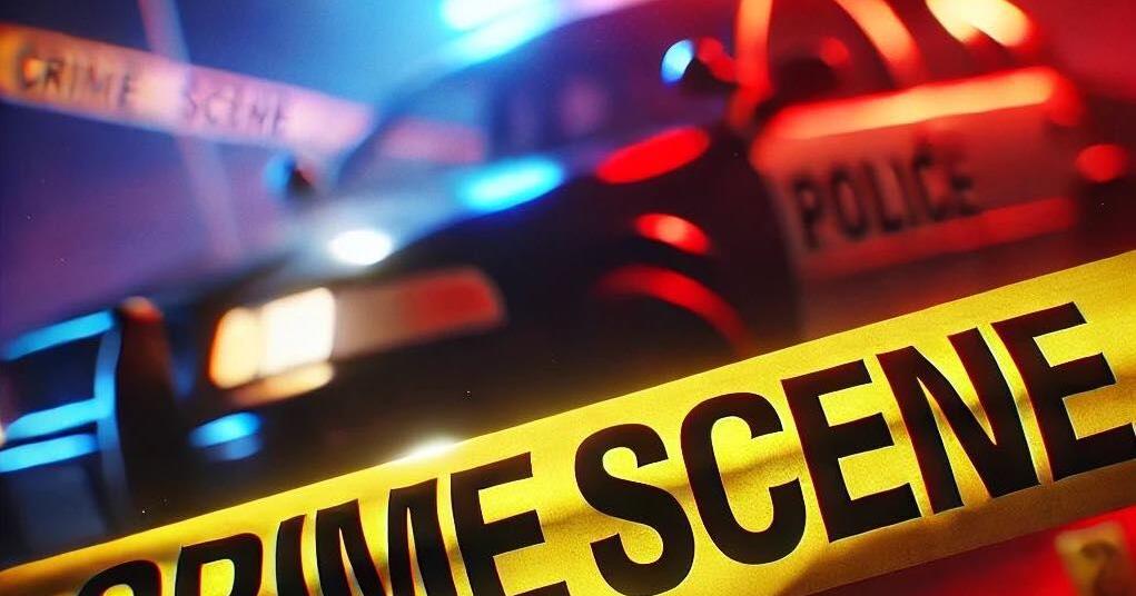 Arundel News Crime Report February 18 2025 | News | arundel.news