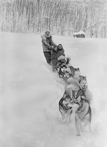 A unique place, reborn: The heritage running through Toklat | News ...