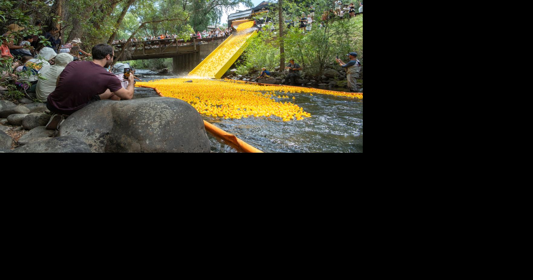Rubber ducky, you’re not just one | News | aspendailynews.com