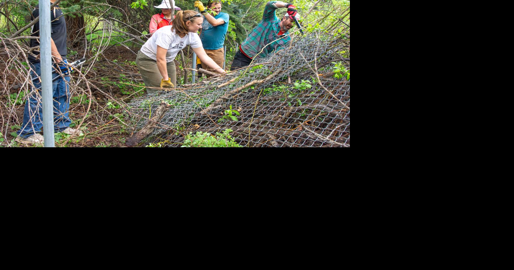 Clearing a path | Multimedia | aspendailynews.com