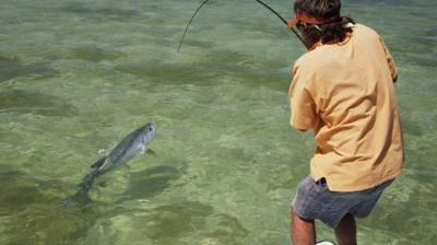 Andy Mill reels in another honor | News | aspendailynews.com