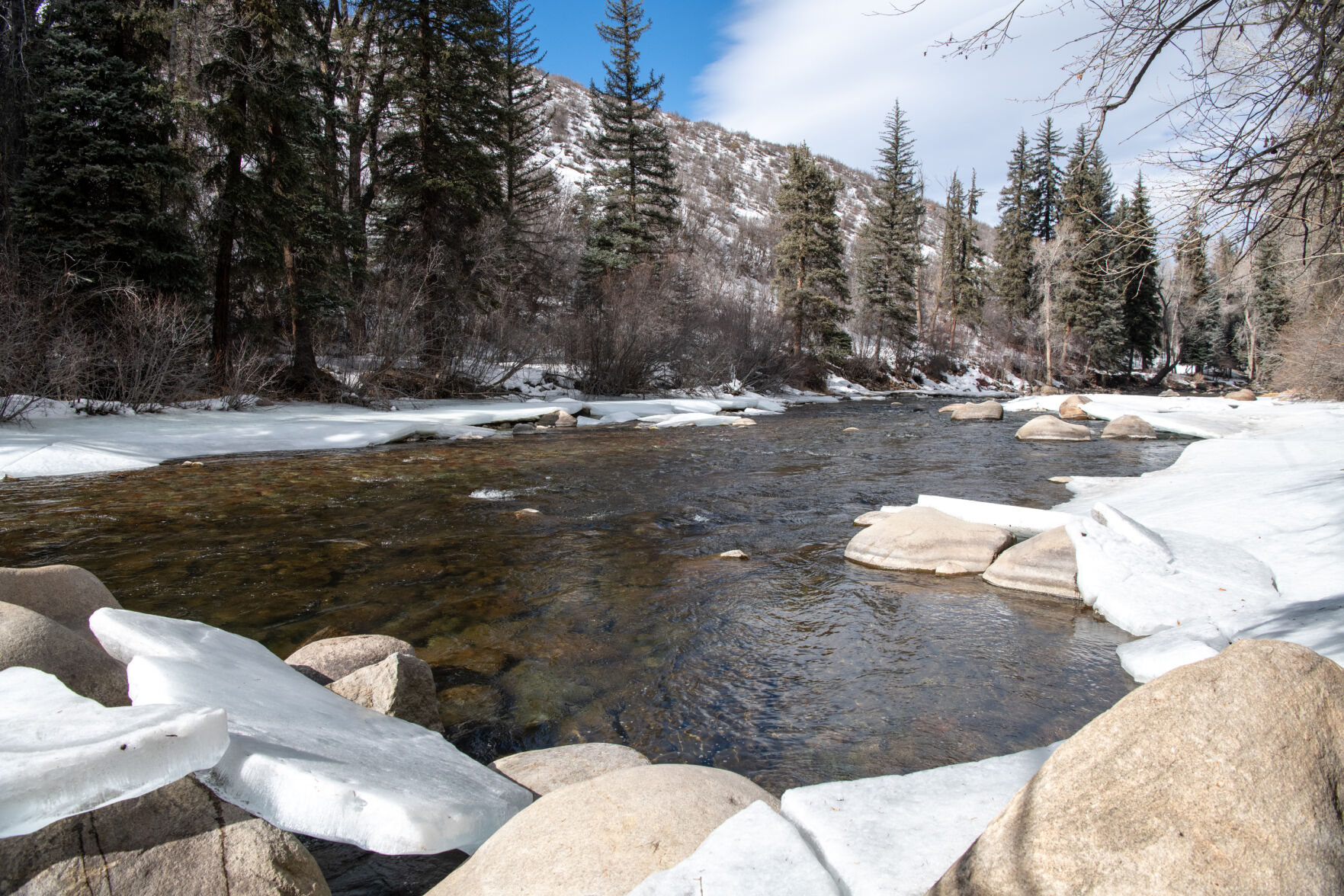 Candidates explain what makes them qualified for city council | News ...