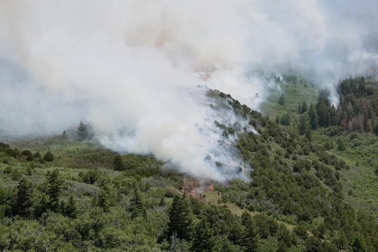 Slow spread of Spring Creek Fire allows crews to ‘box it in’ | News ...