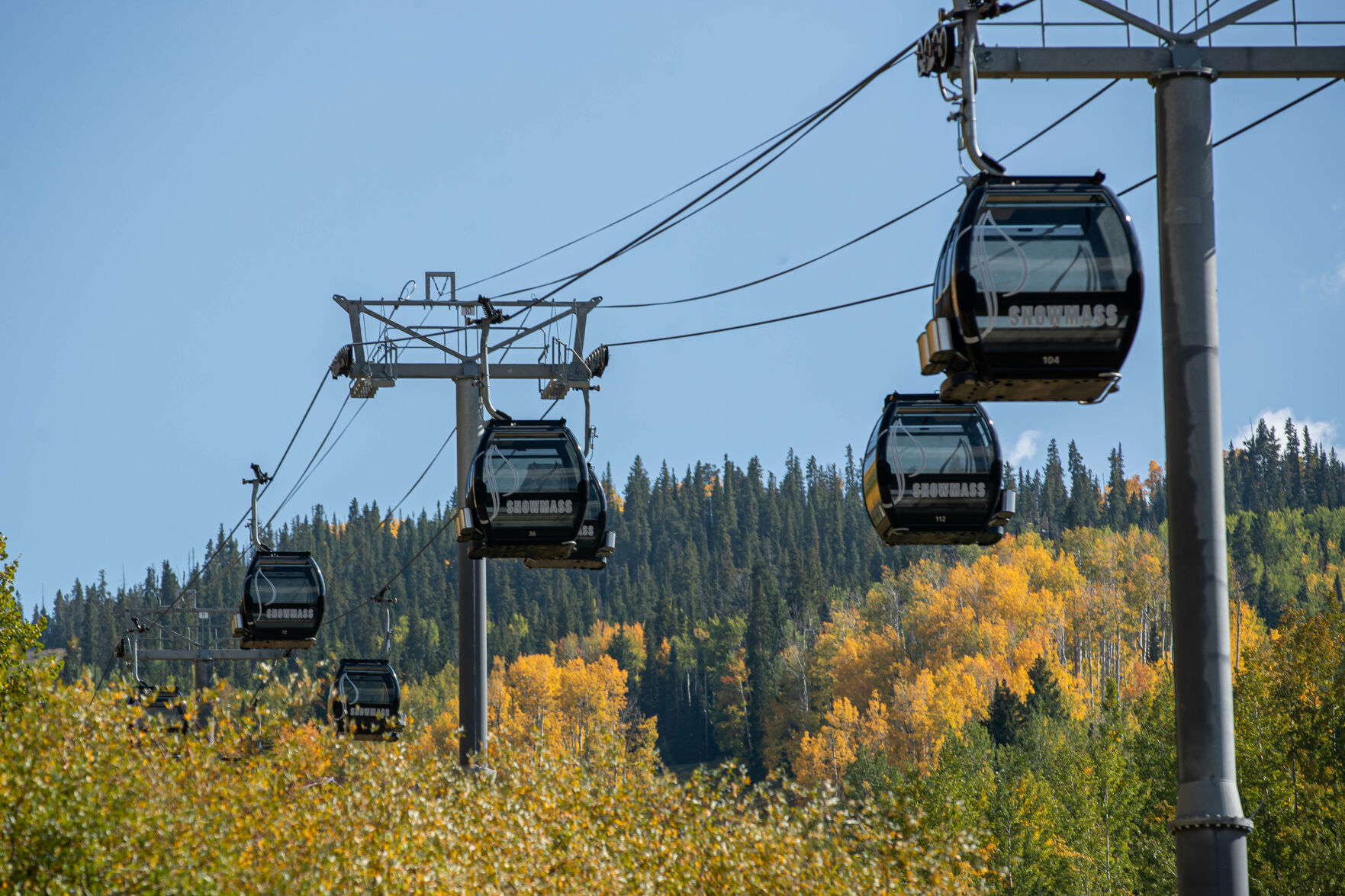 Are these the aspens' golden years? | News | aspendailynews.com