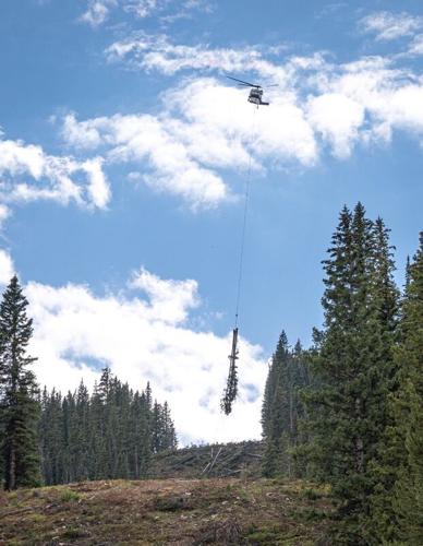 Pandora’s ski area expansion takes shape on Aspen Mountain | News ...