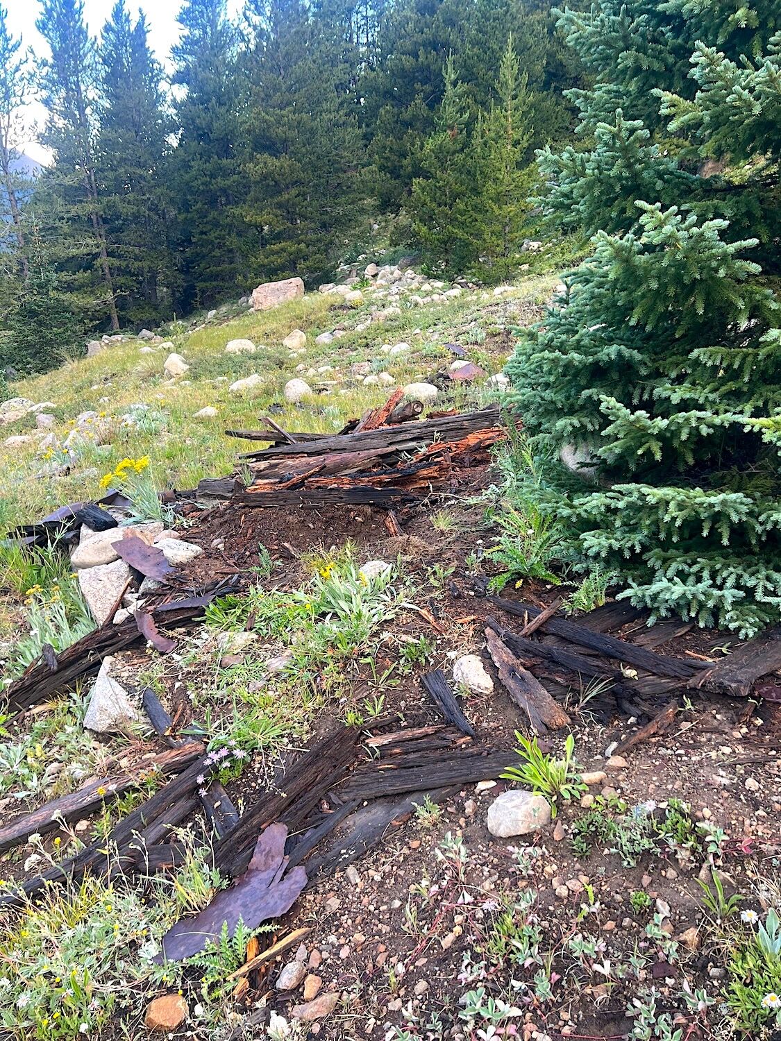 Volunteers report uptick in illegal campfire rings | News ...