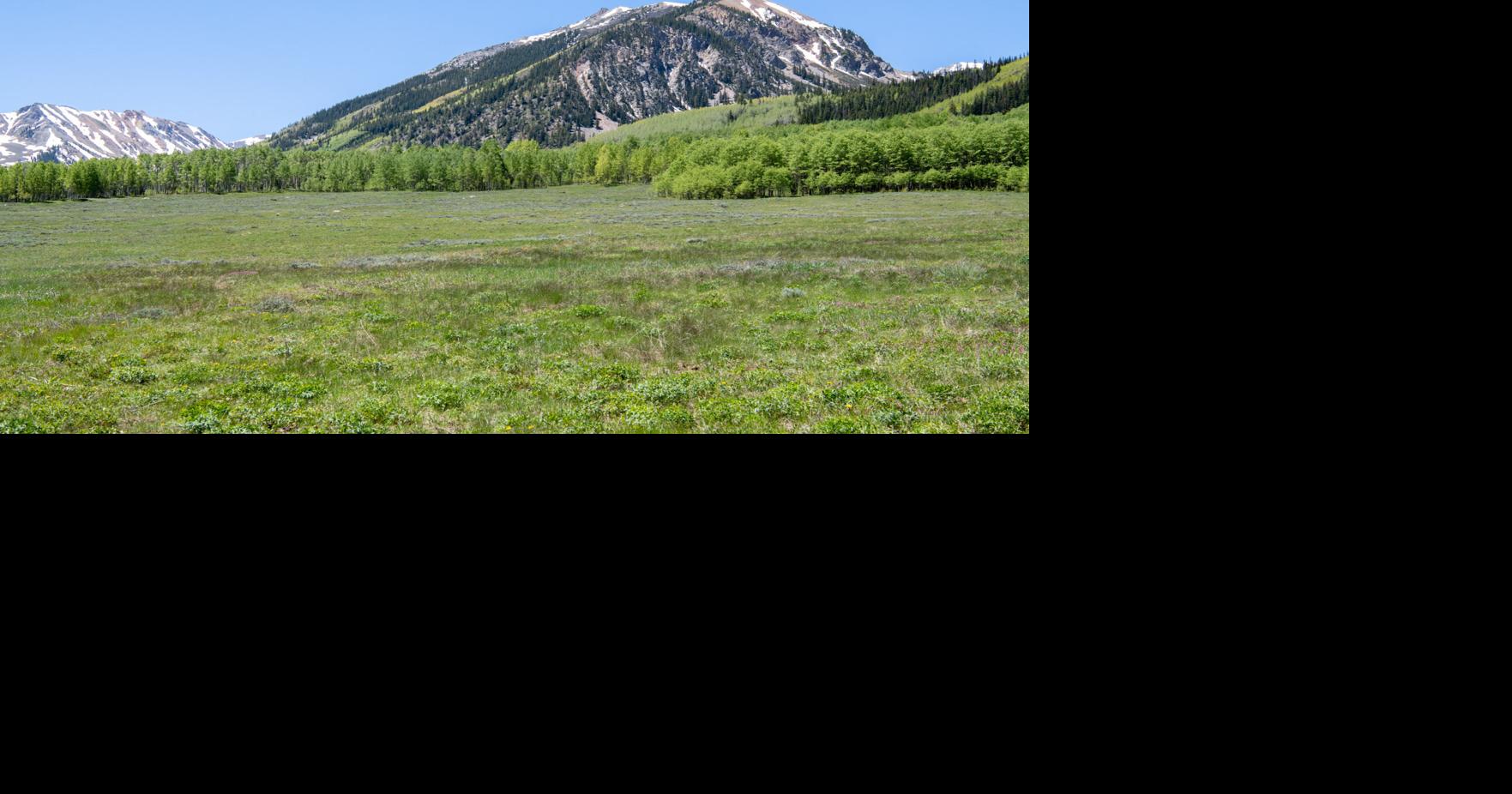 Wilderness designation sought for lands near Ashcroft | News ...
