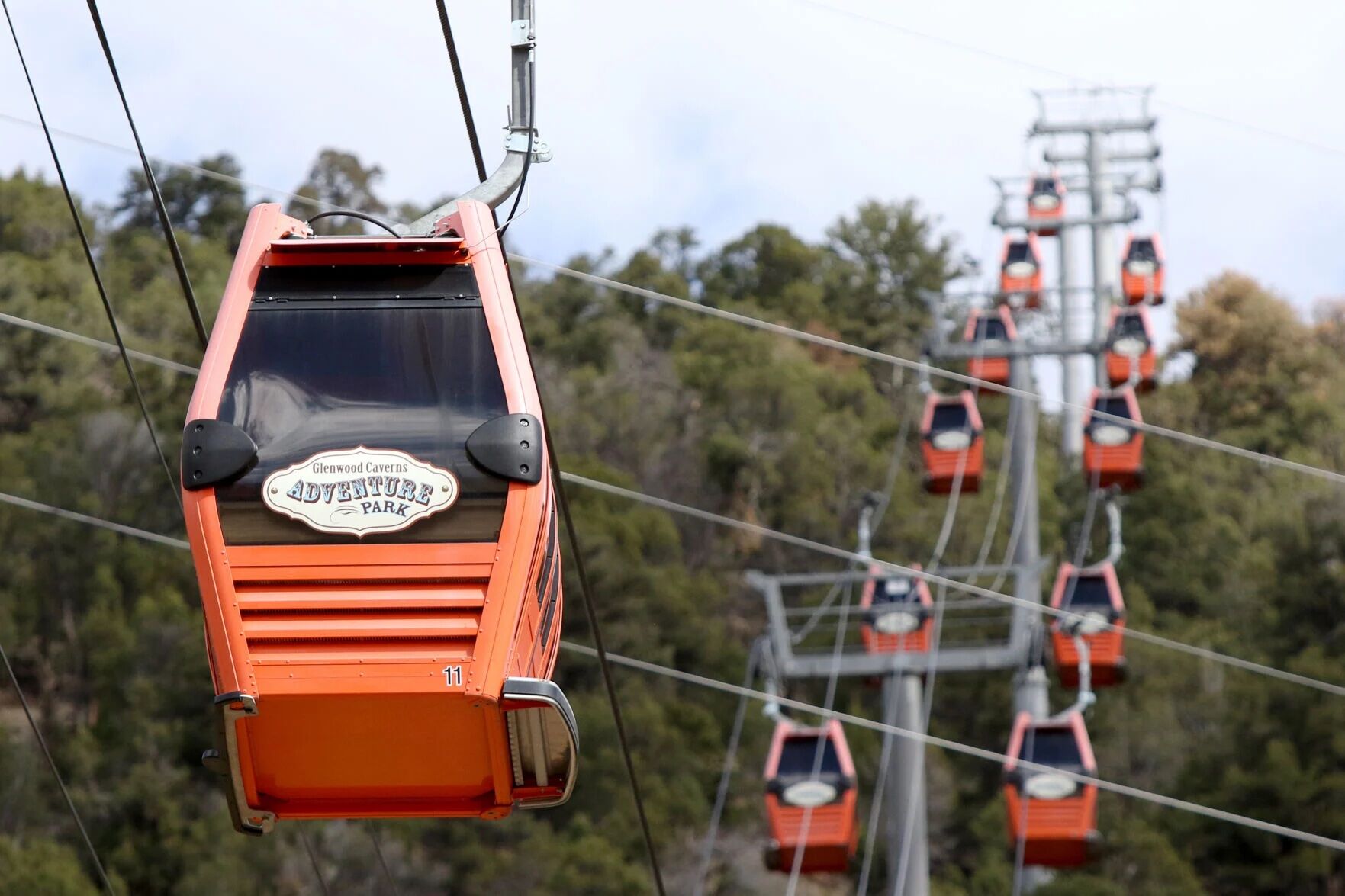 A year of disputes, resolutions, and the return of HST | News ...