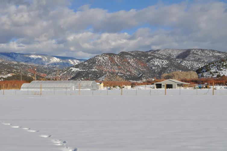 New barn will get plenty of use by Two Roots Farm | News ...
