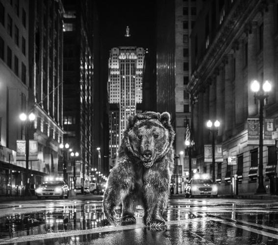 David Yarrow wildlife photography on display at Casterline Goodman ...