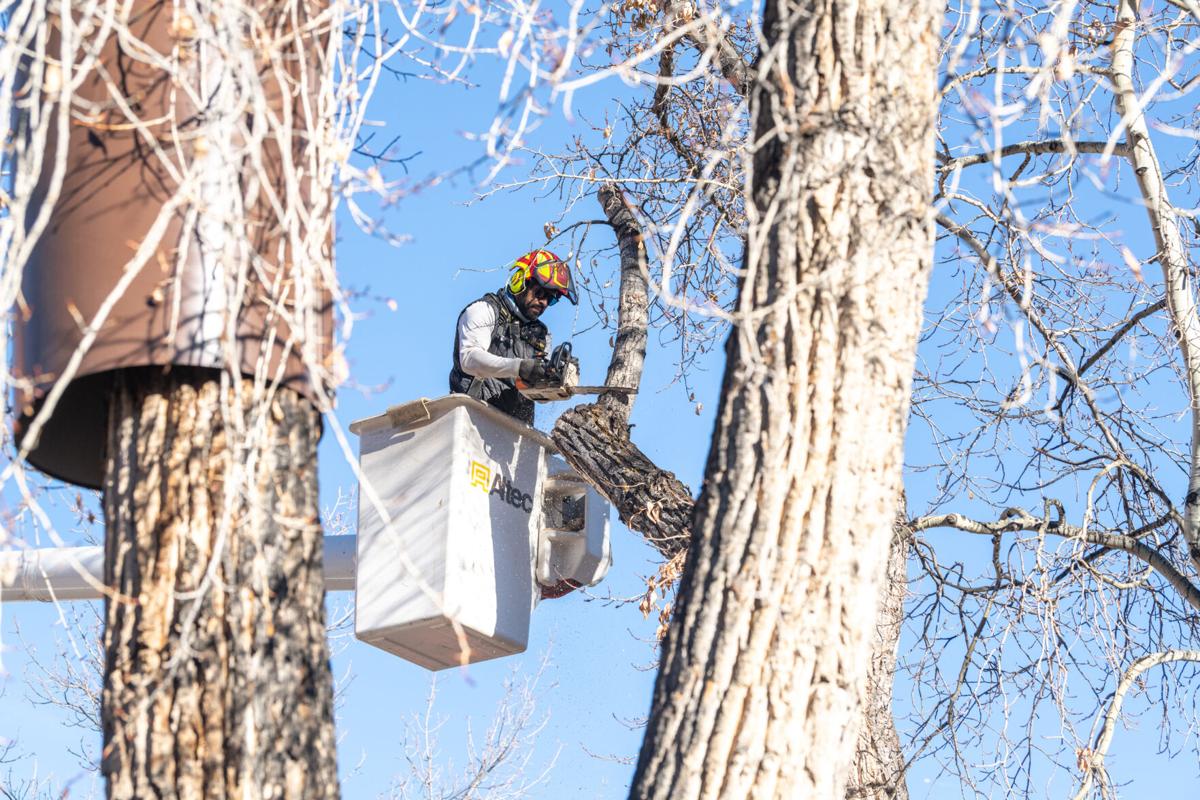 Cut above | Multimedia | aspendailynews.com