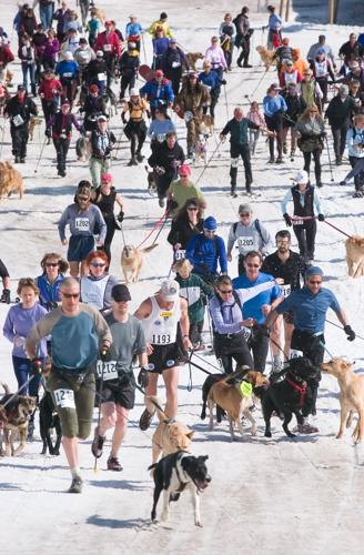 A 5K for furry friends | News | aspendailynews.com