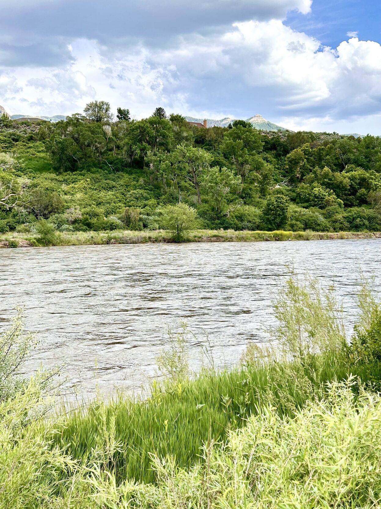 State names full-time negotiator on Colorado River issues | News ...