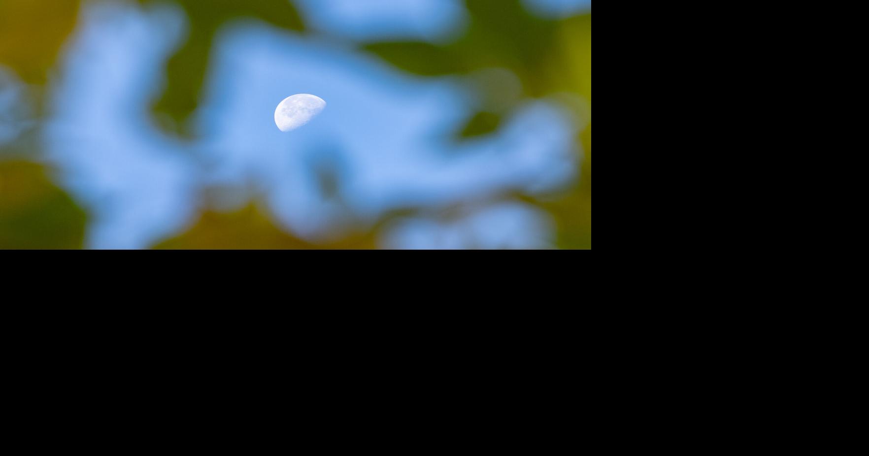 Moony day | Multimedia | aspendailynews.com