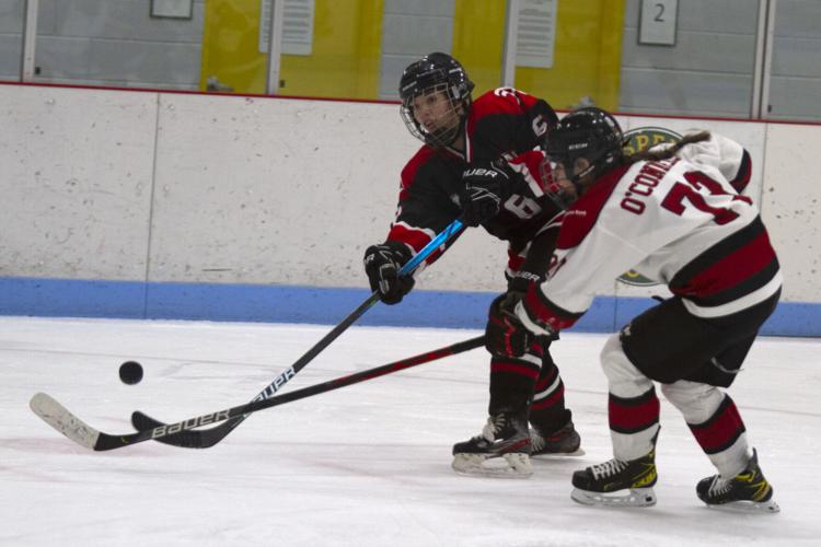 Avs players will compete with youth on Thursday | News | aspendailynews.com