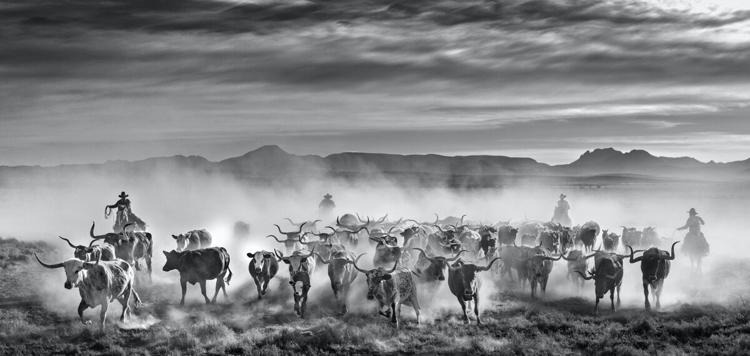 Aspen gallery hosts renowned photographer David Yarrow for weekend of ...