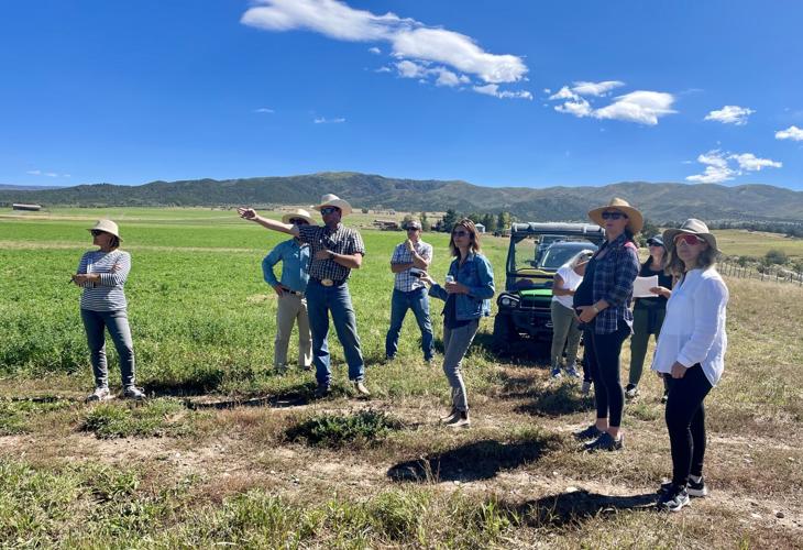 Residential development not part of plan for historic ranch | News ...