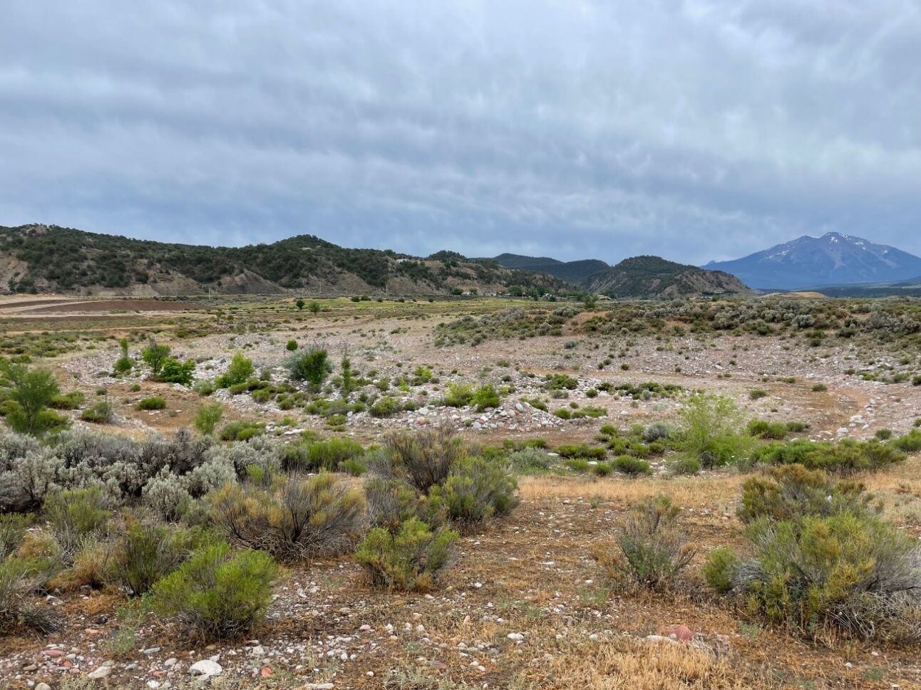 New owner eyes development of old Sanders Ranch | News | aspendailynews.com