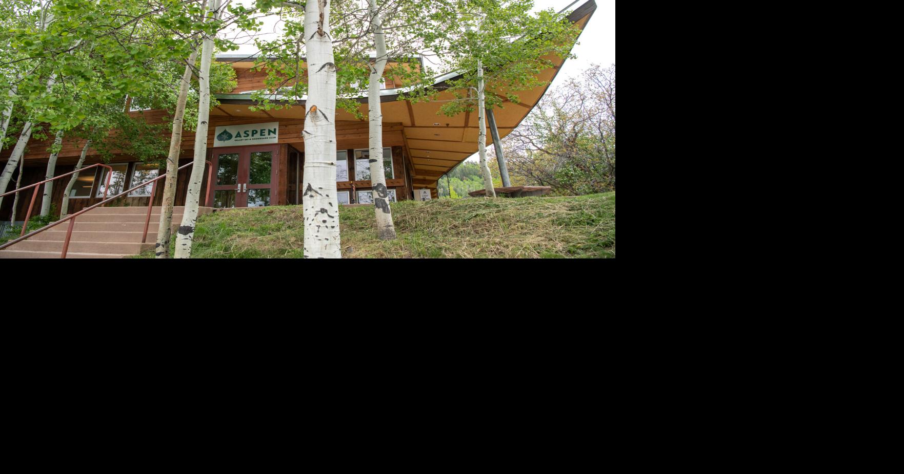 Interviews set to begin for AVSC executive director role | News ...