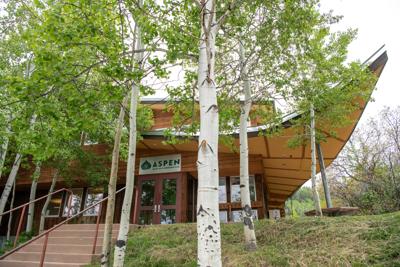 Interviews set to begin for AVSC executive director role | News ...