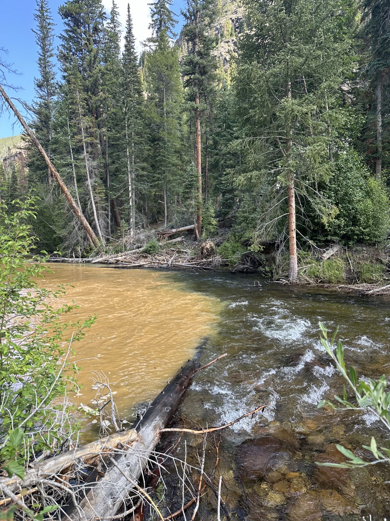 Roaring Fork River runs orange amid reservoir construction | News ...