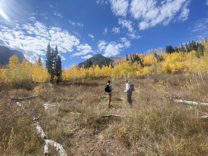 Pitkin County looks to gain ownership of Wildwood property | News ...