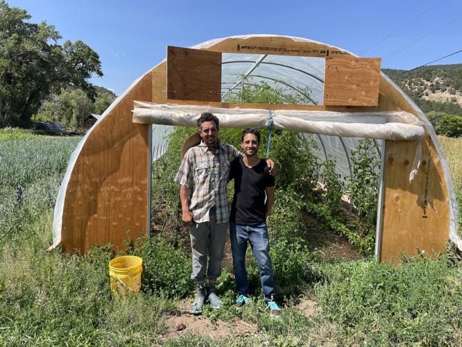 Farm Collaborative’s special crop | News | aspendailynews.com