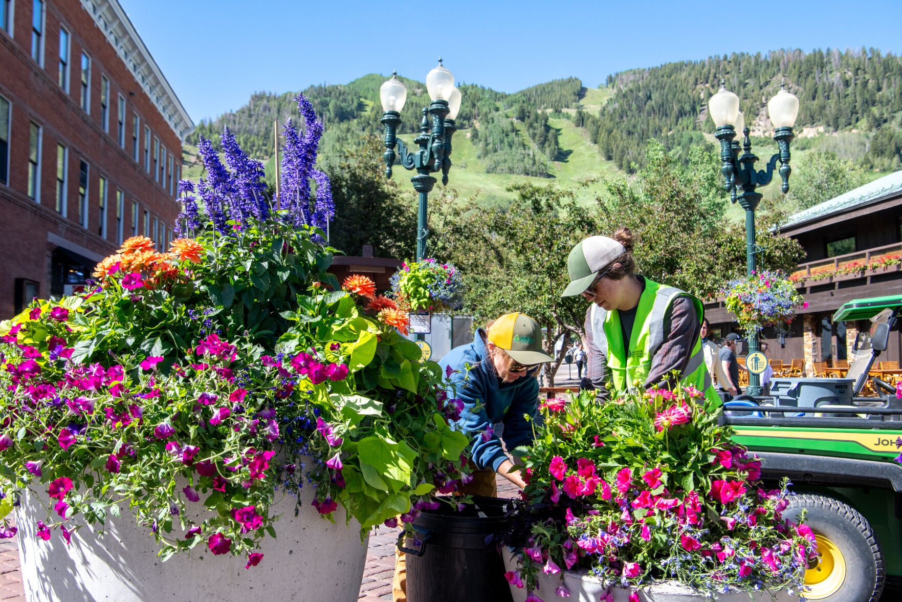 A touch of green | Multimedia | aspendailynews.com